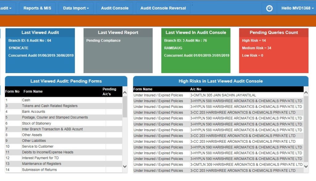 Smart Audit - e-stone Smart Audit for Internal Audit Process
